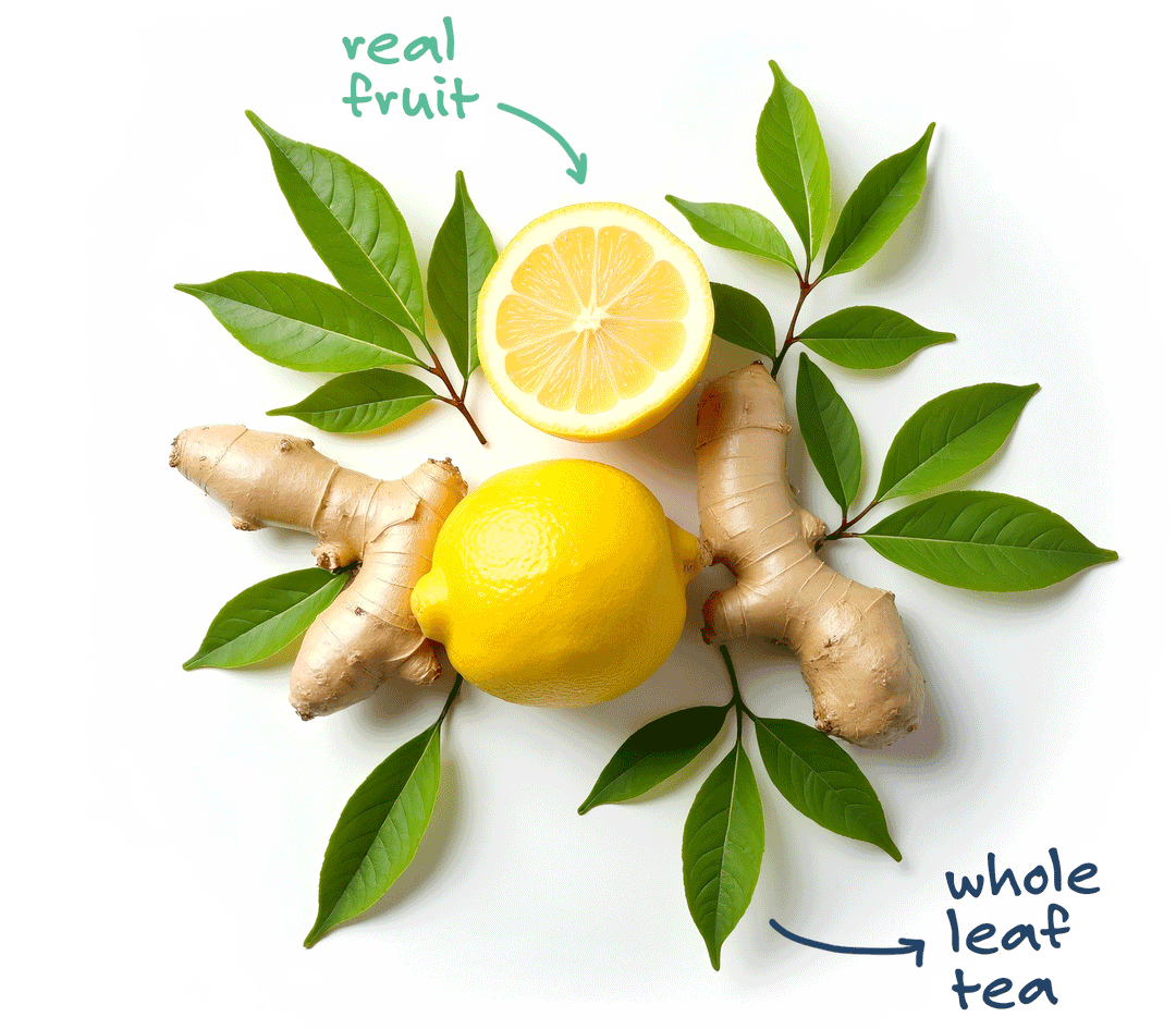 Tama Tea I Unsweetened Sparkling Yerba Mate and Green Tea